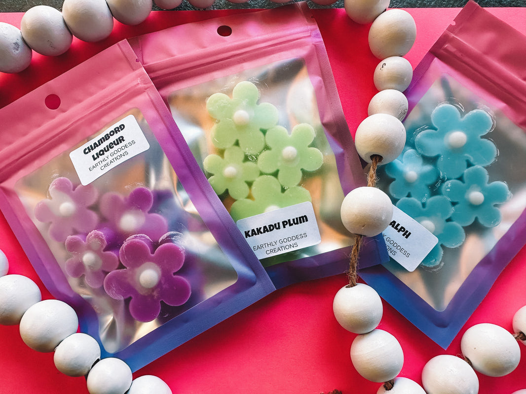 Novelty Wax Melts – Earthly Goddess Creations